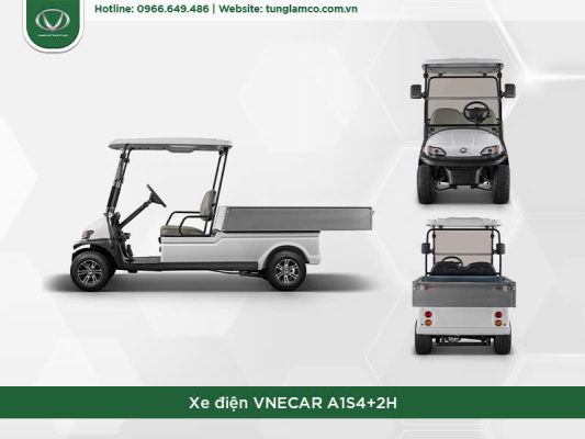 Xe buggy điện chở hàng - Giải pháp vận chuyển hiệu quả cho doanh nghiệp